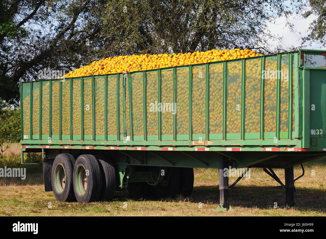 Transport of fruit hi-res stock photography and images - Alamy