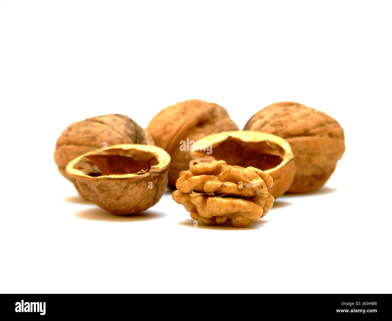 Walnuts tree Cut Out Stock Images & Pictures - Alamy