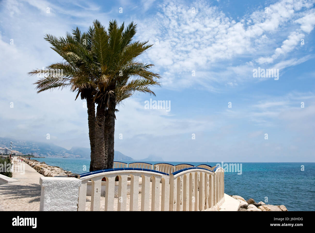 spain palm tree railing promenade salt water sea ocean water shine ...