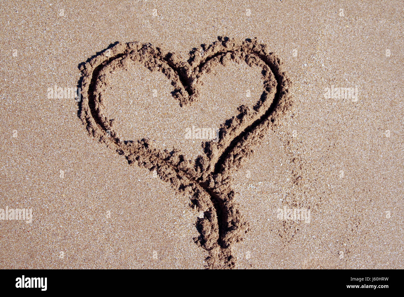 beach seaside the beach seashore shape sign design shaping formation ...