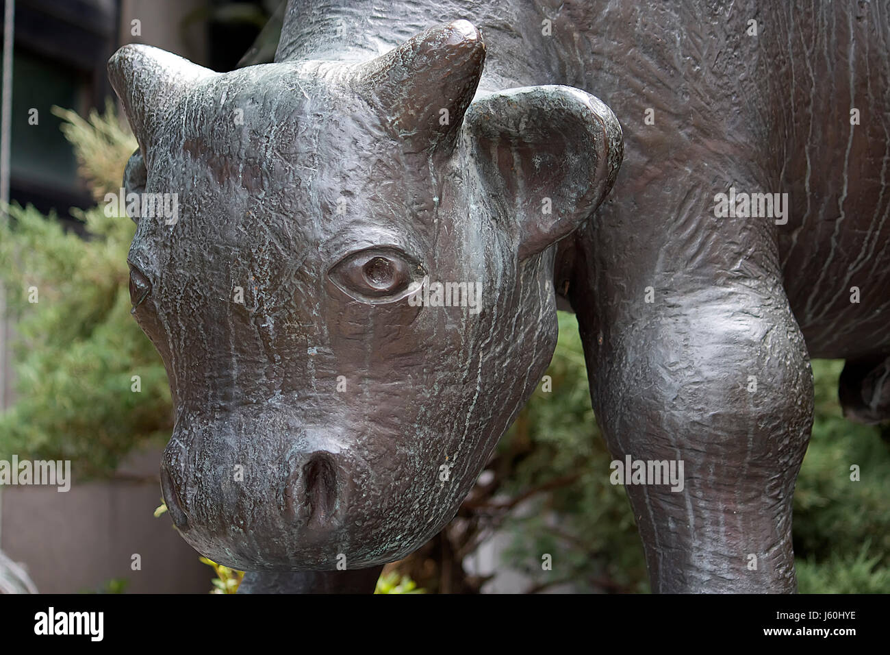 korean stock market bull Stock Photo - Alamy