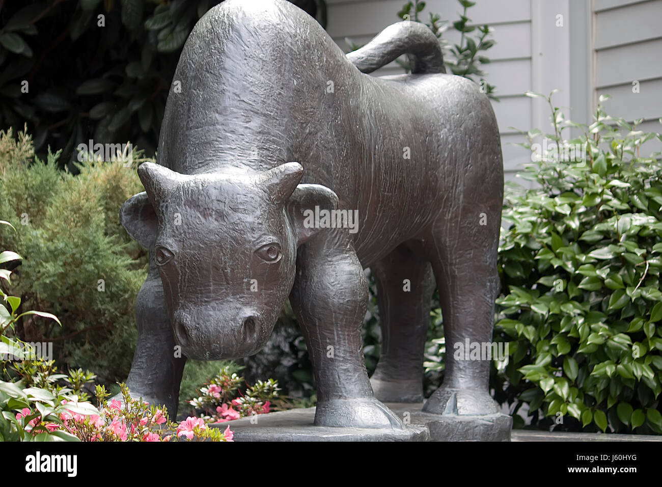 garden bull price of shares korea gardens pictogram symbol pictograph ...