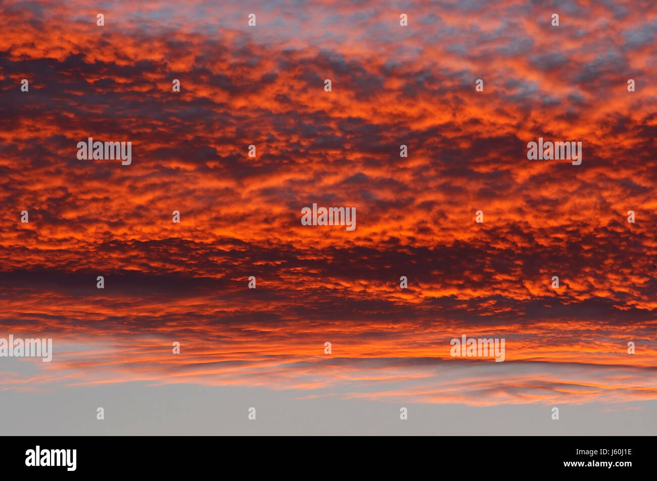 Red rosy clouds hi-res stock photography and images - Alamy