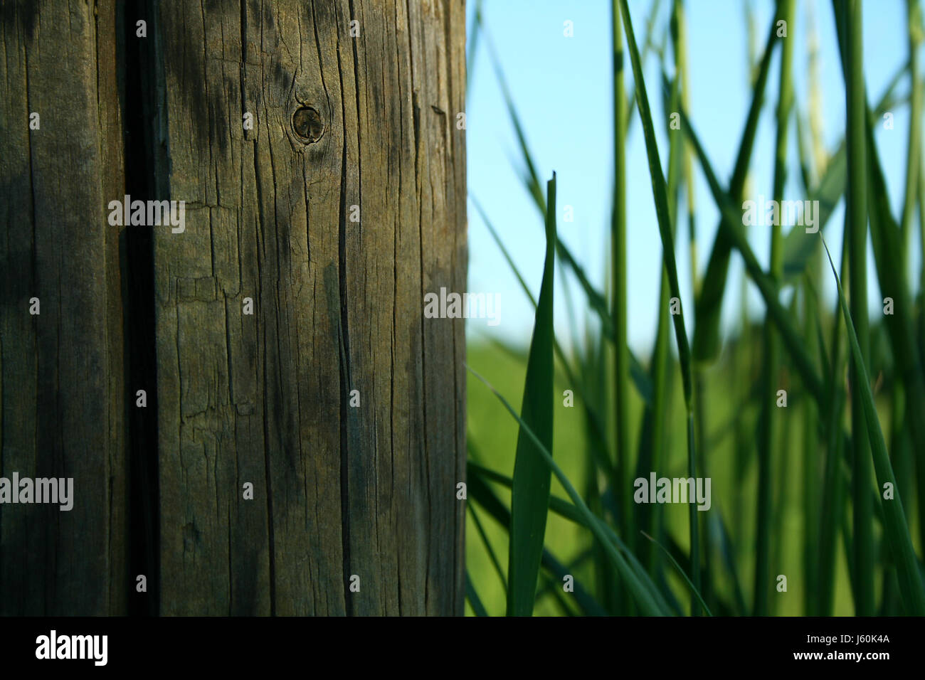 Delicate fencing hi-res stock photography and images - Alamy