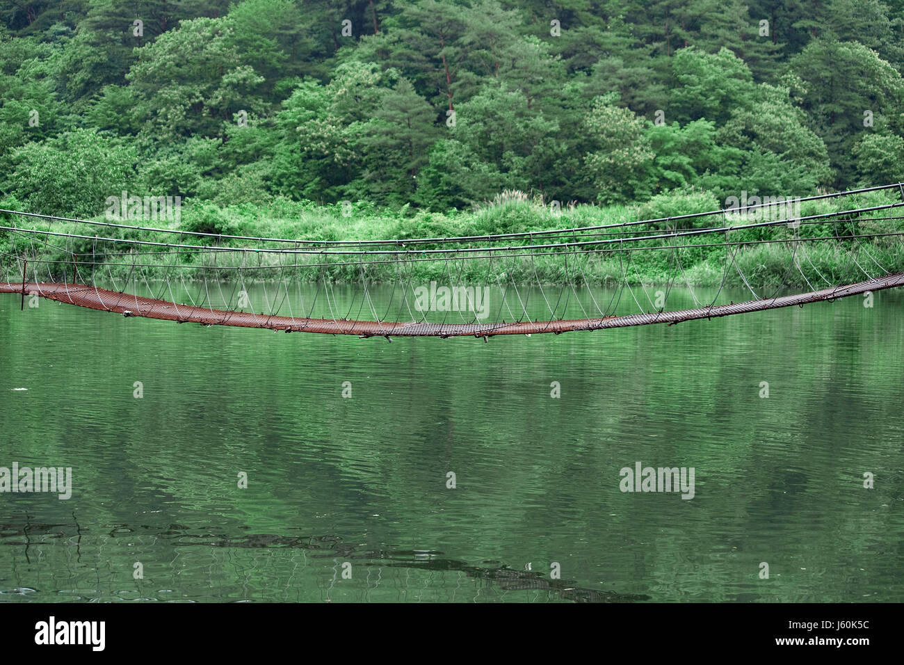asia suspension bridge korea salt water sea ocean water forest isle ...