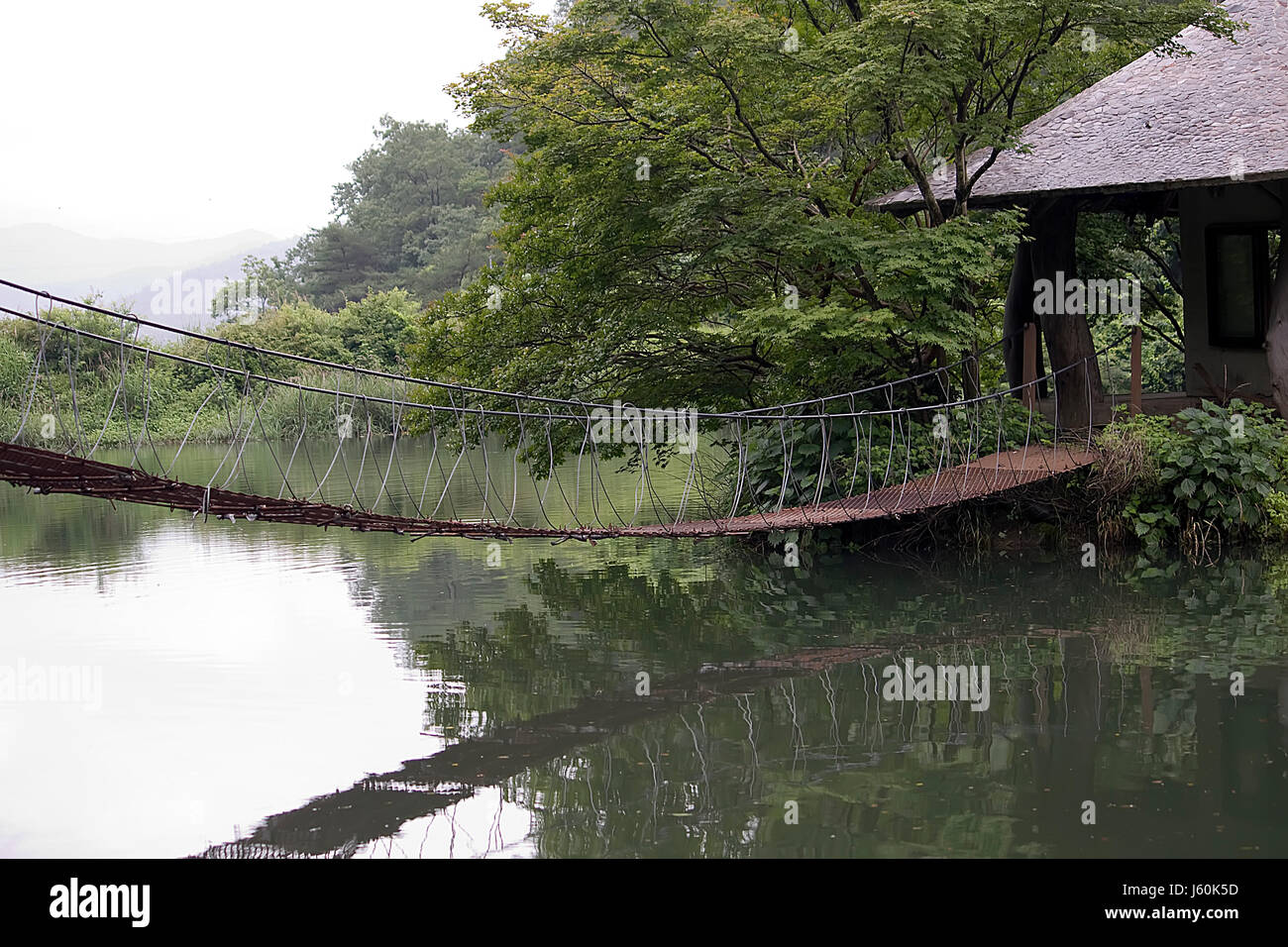 asia suspension bridge korea salt water sea ocean water forest isle ...