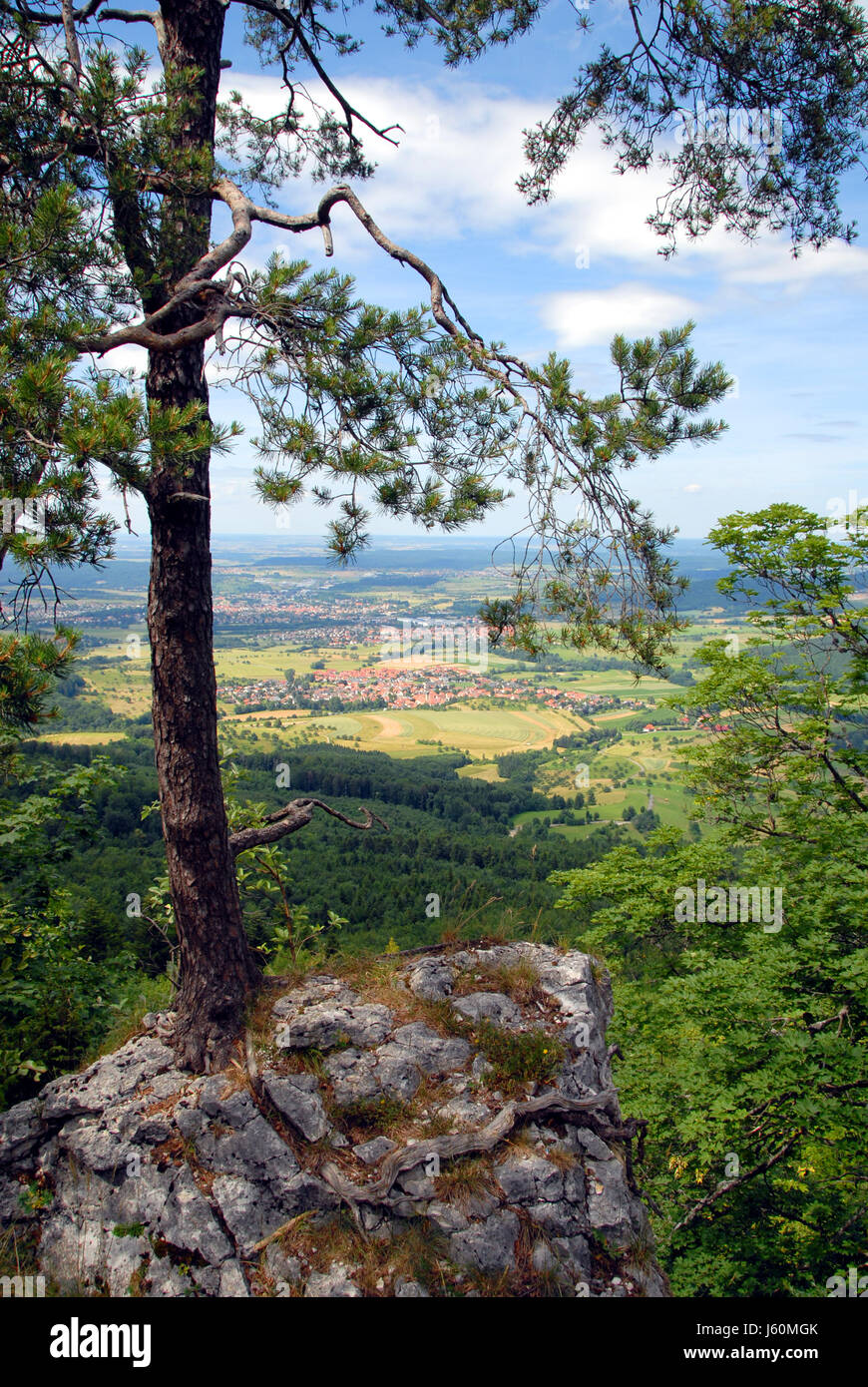 tree sight view outlook perspective vista panorama lookout idyll ...