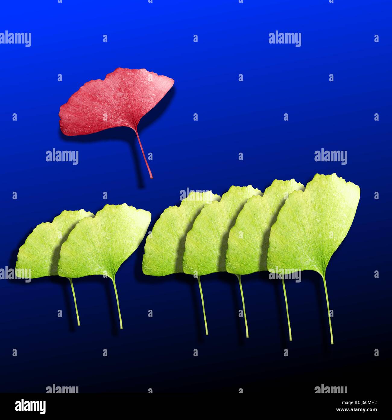 Marplot High Resolution Stock Photography and Images - Alamy