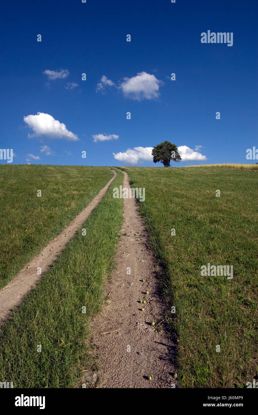 green field distance fields ruts firmament sky bucolic tree trees hill ...