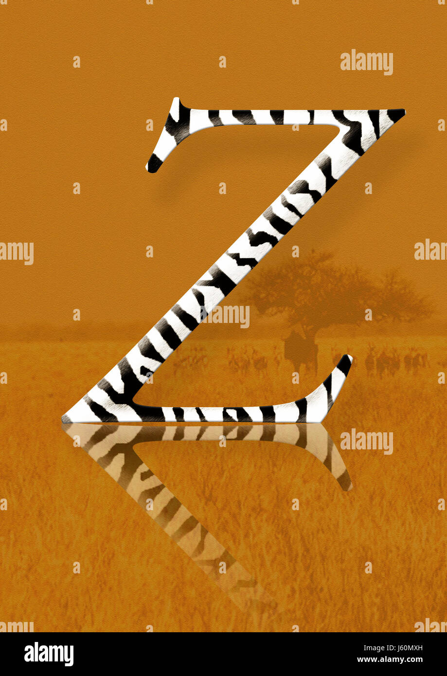 sign signal africa writing font typography zebra letter backdrop ...