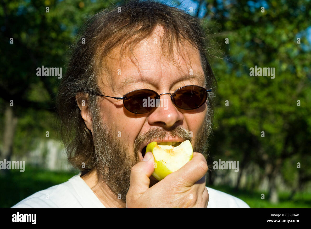 portrait apples apple full beard eating eat eats sunglasses sunglass ...