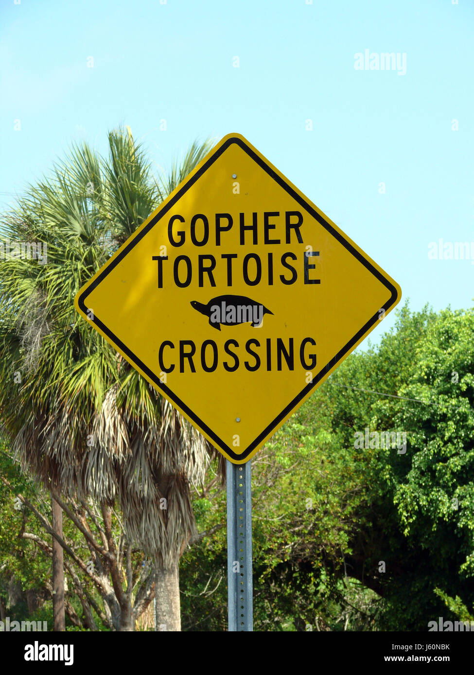 Rhombus Sign Signal Traffic Sign High Resolution Stock Photography and ...