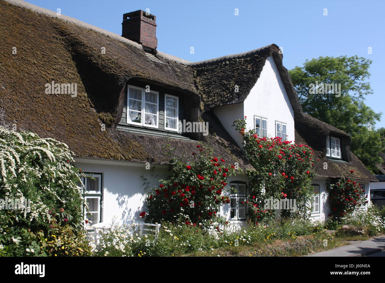 fries house on sylt Stock Photo - Alamy