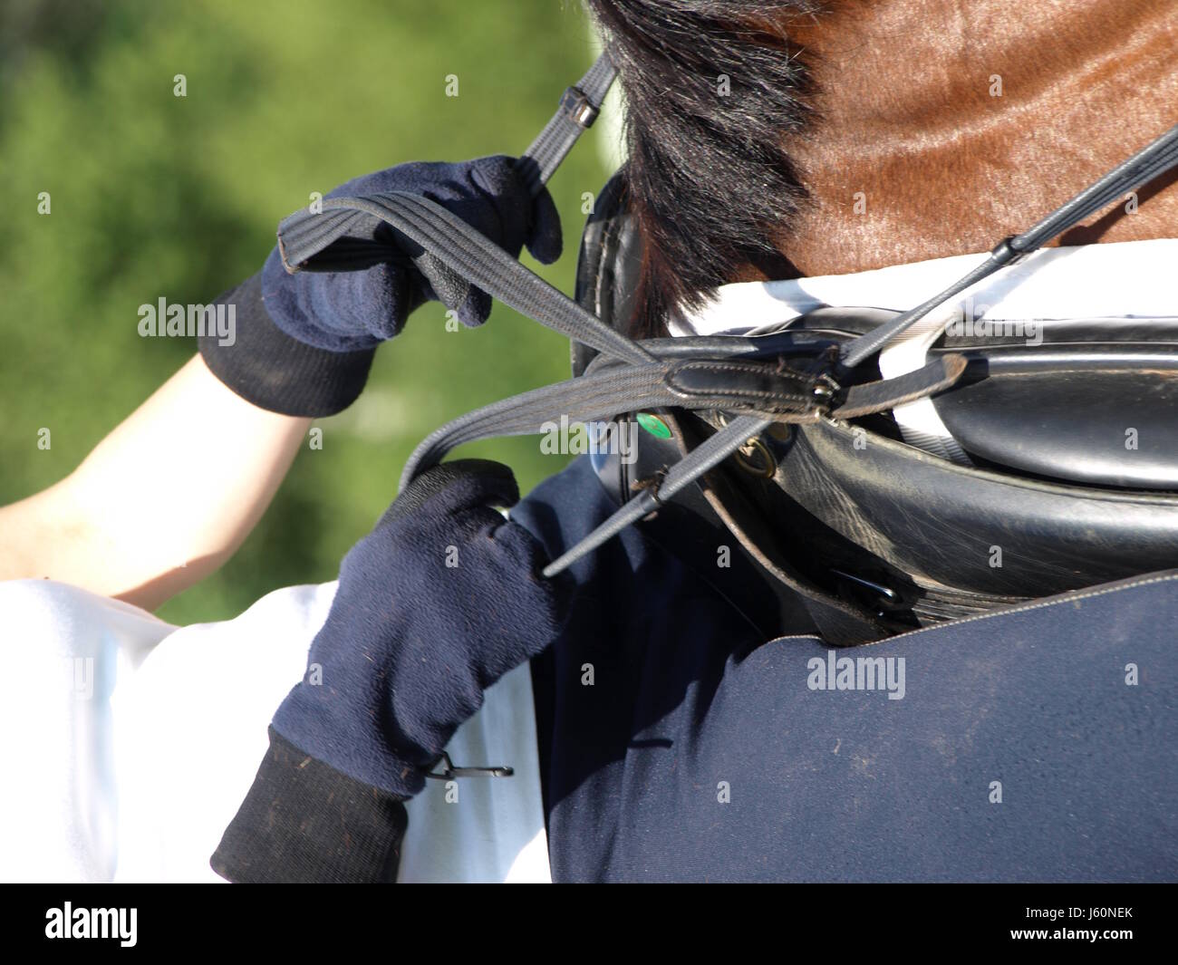 Reiterhand hi-res stock photography and images - Alamy