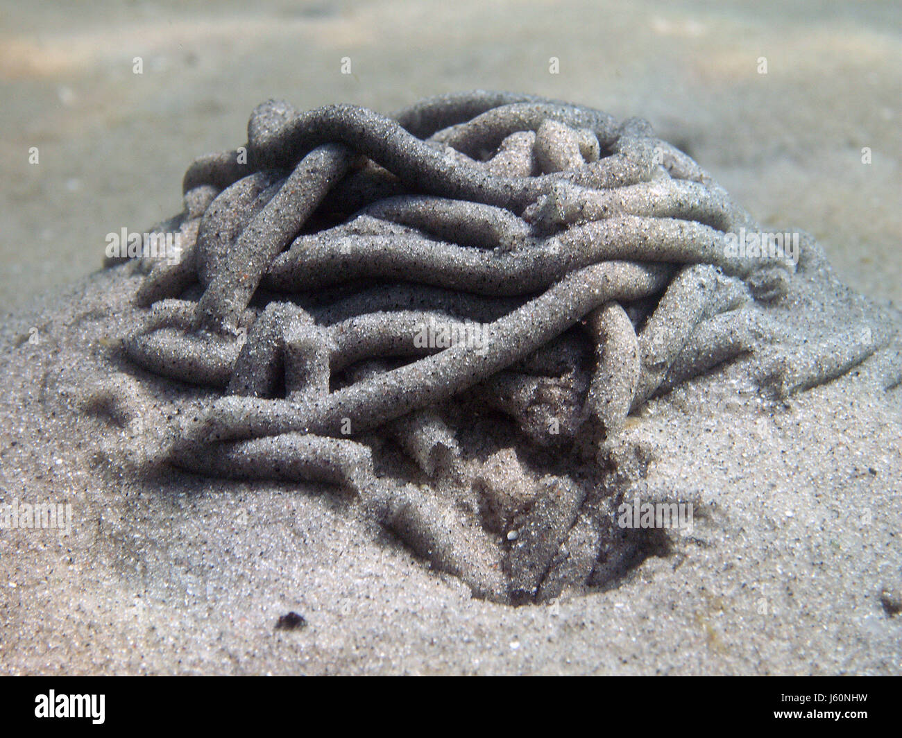 Sandgrund hi-res stock photography and images - Alamy