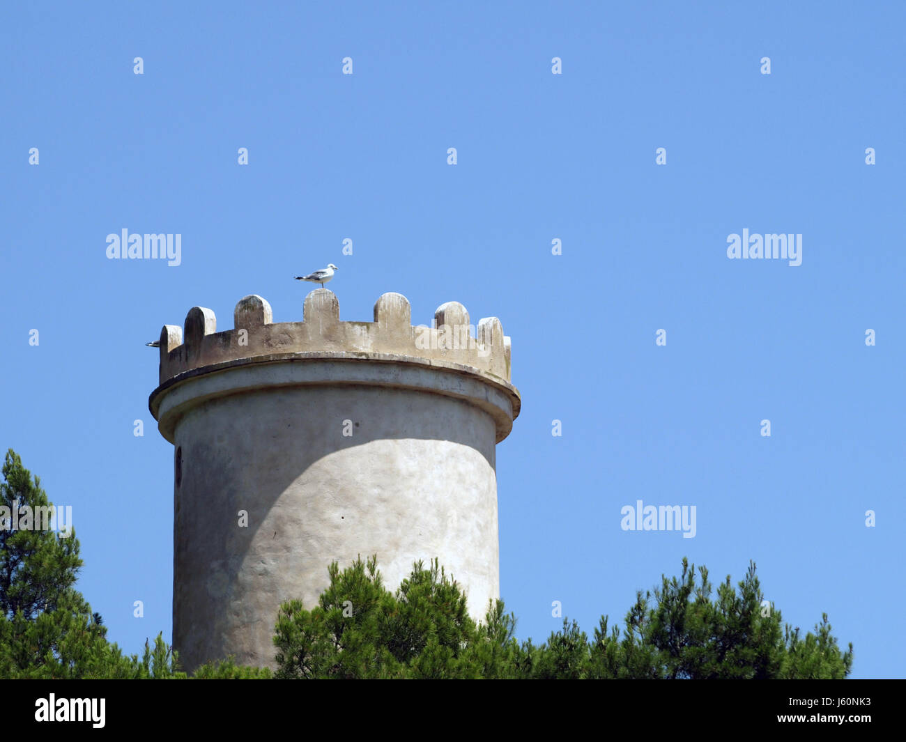 tower balearic islands watchtower isle island blue tree trees green ...
