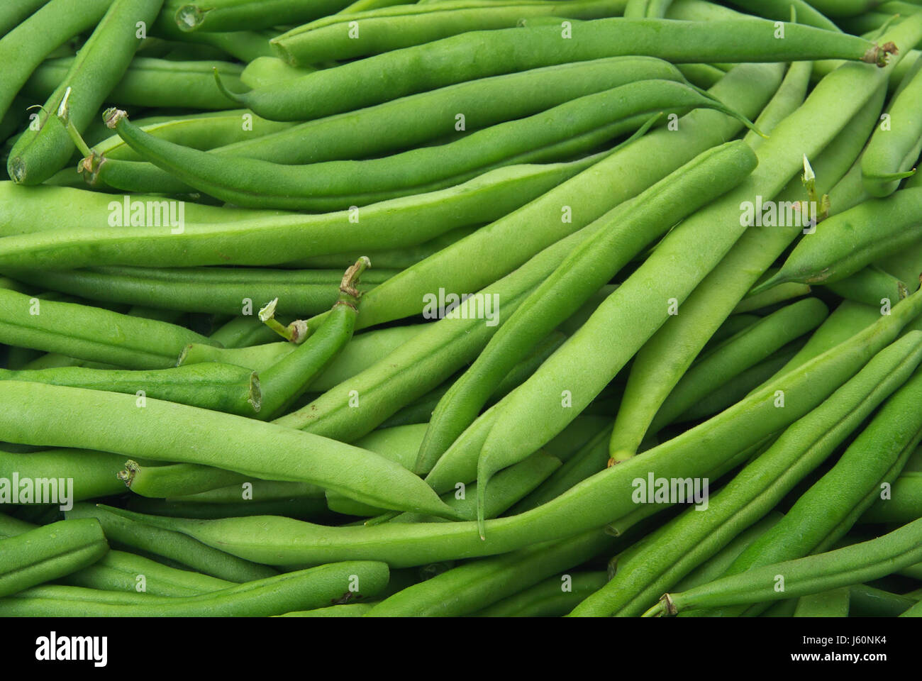 bohne - bean 01 Stock Photo - Alamy
