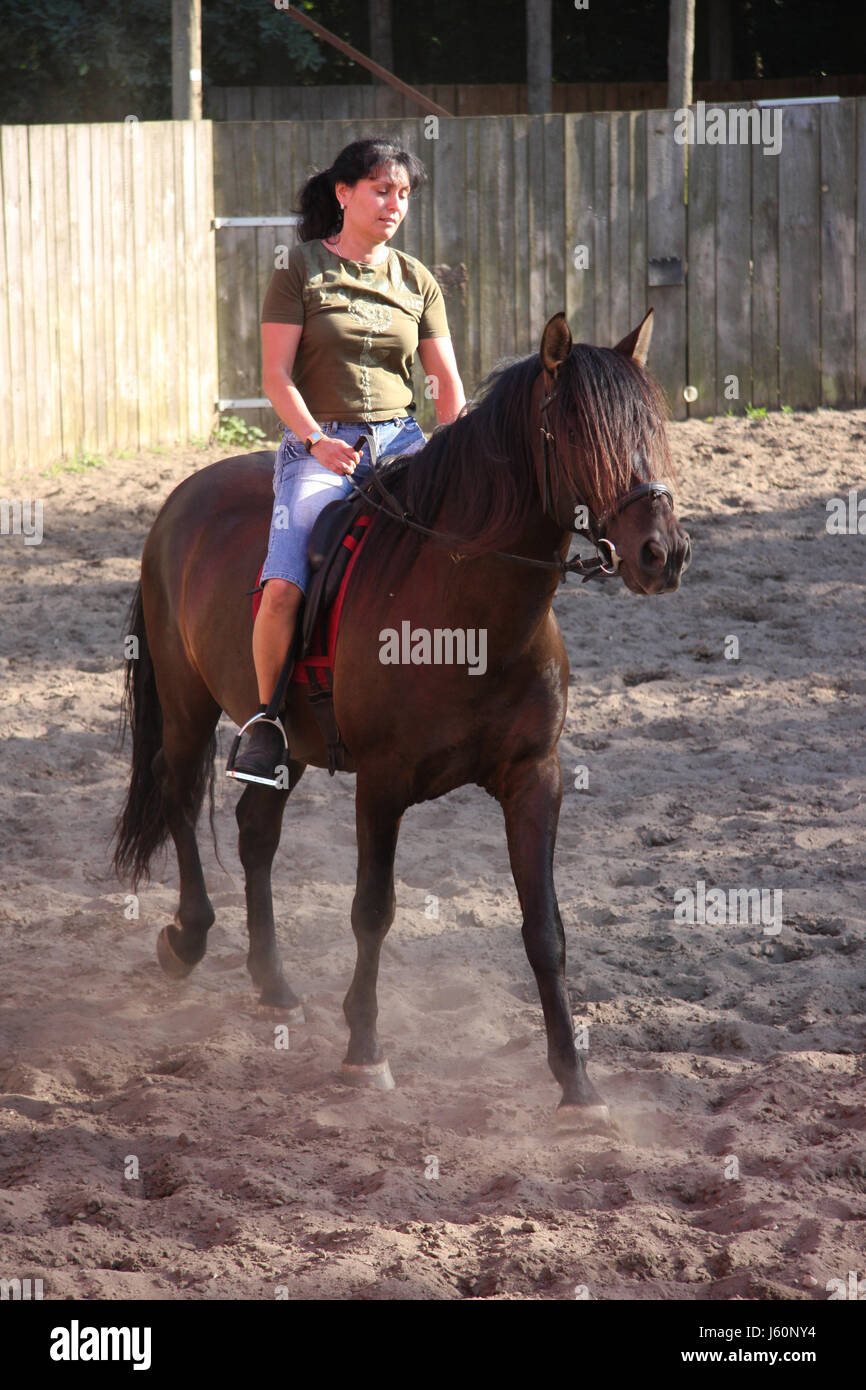 Western rider hi-res stock photography and images - Alamy