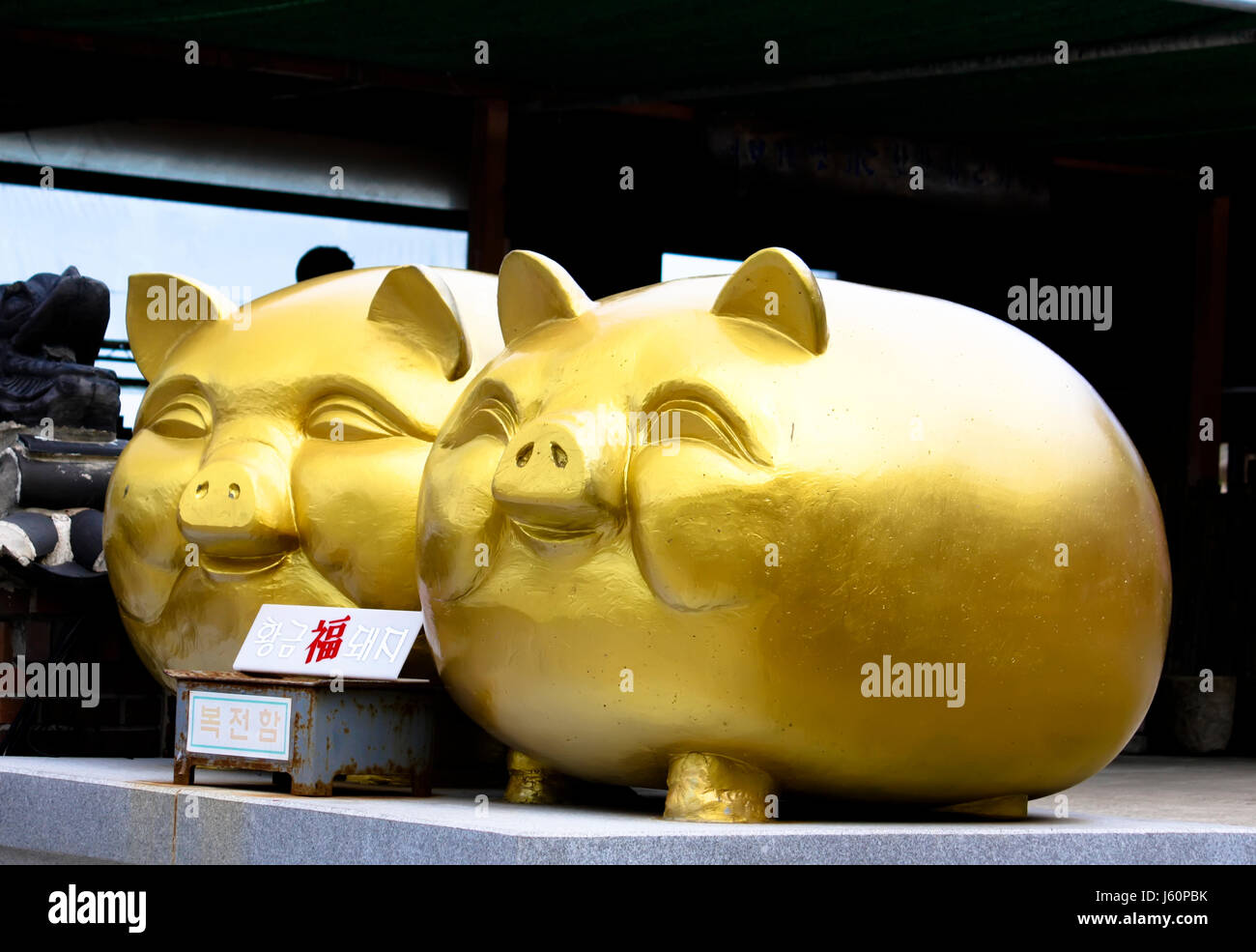 Golden pigs hi-res stock photography and images - Alamy