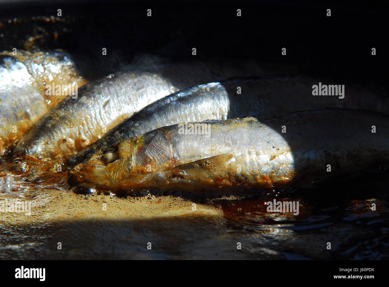 plate food dish meal sardine fried fish dish portuguese bread plate ...