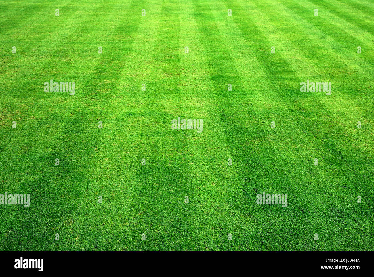 bowling meadow grass lawn green close lines small tiny little short ...