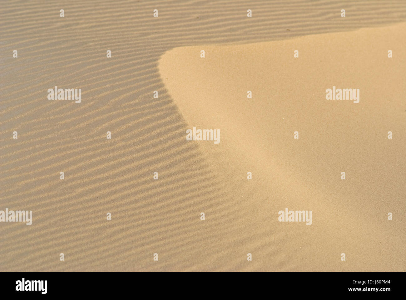 dune sands sand deserted erosion dune dene shifting sand dune structure sands Stock Photo - Alamy