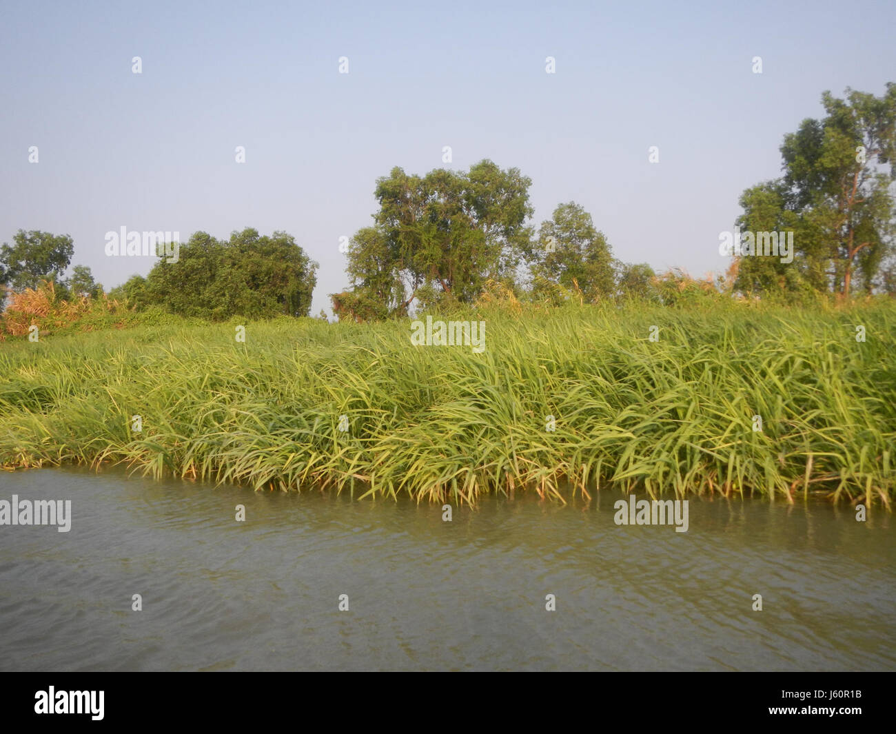 02448 Masantol Pampanga River Districts villages Riverbanks 35 Stock ...