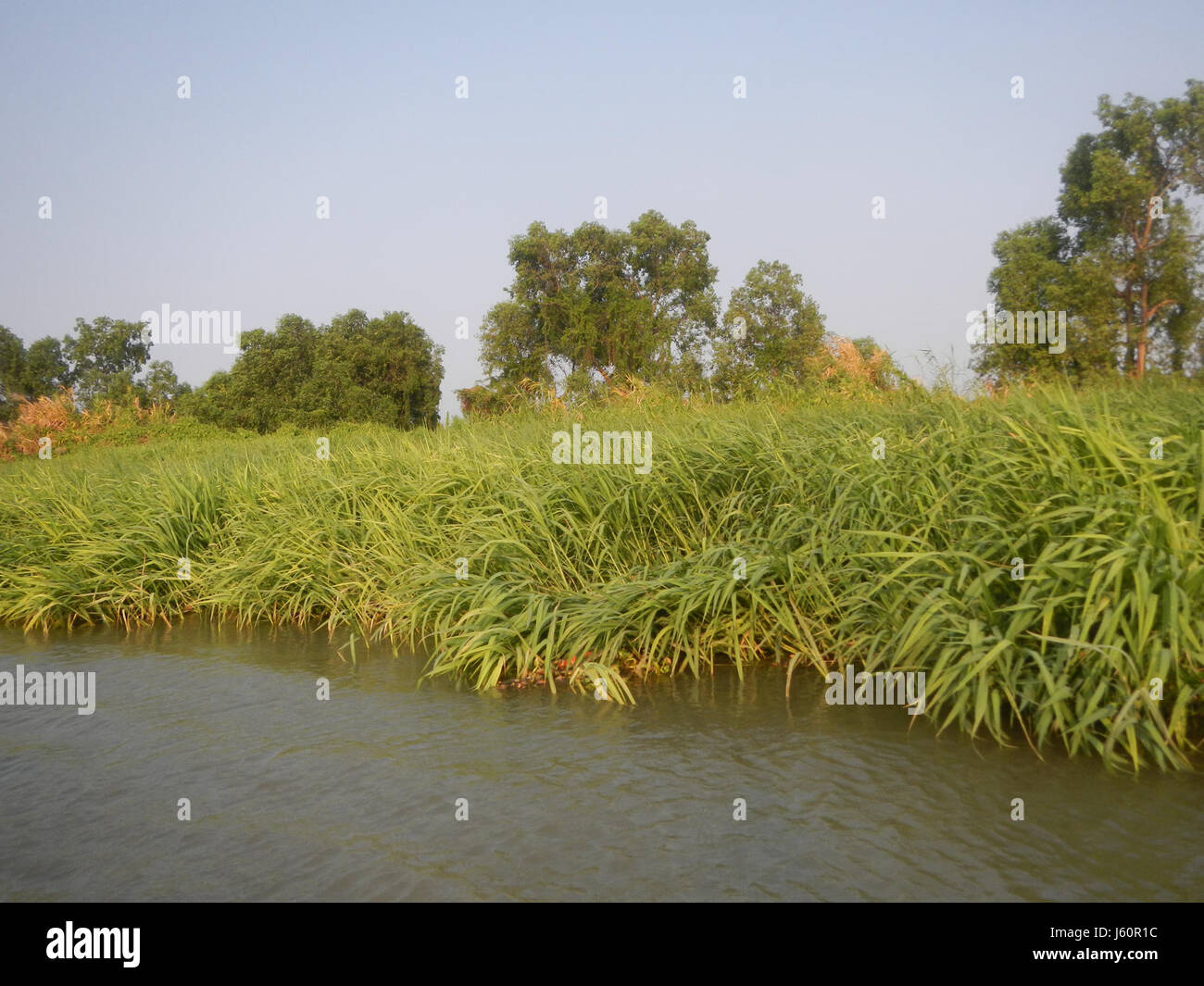 02448 Masantol Pampanga River Districts villages Riverbanks 36 Stock ...