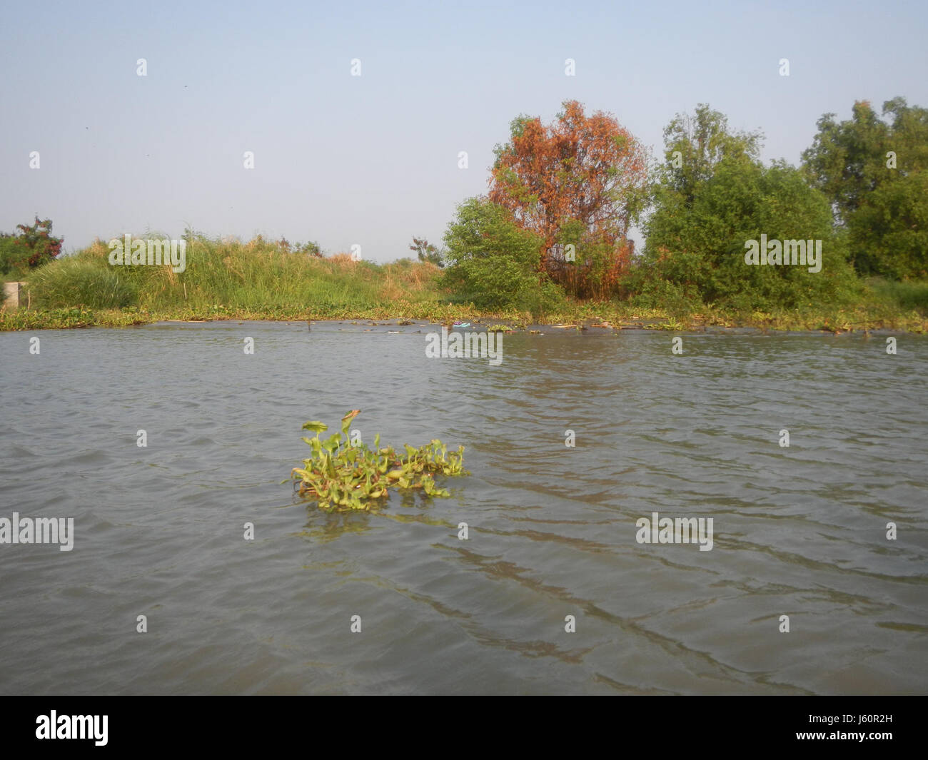 02498 Masantol Pampanga River Districts villages Riverbanks 21 Stock ...
