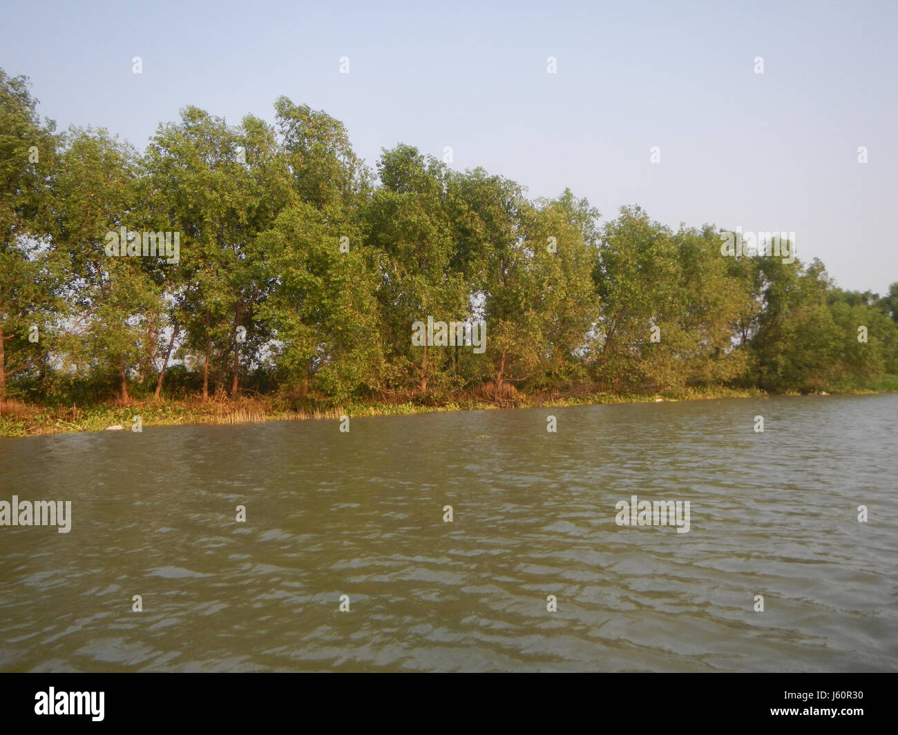 02498 Masantol Pampanga River Districts villages Riverbanks 29 Stock ...