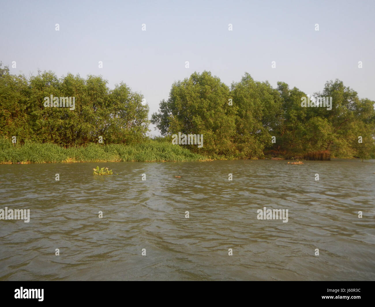 This image or map depicts the river districts of Masantol, Pampanga ...