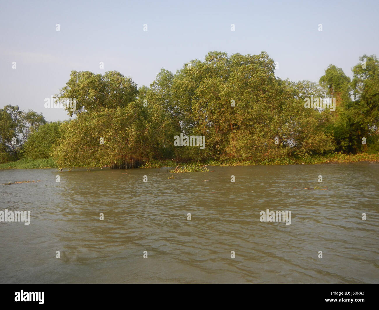 02547 Masantol Pampanga River Districts villages Riverbanks 11 Stock ...