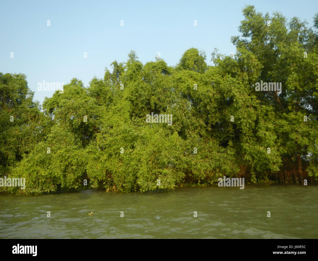 02547 Masantol Pampanga River Districts villages Riverbanks 46 Stock ...