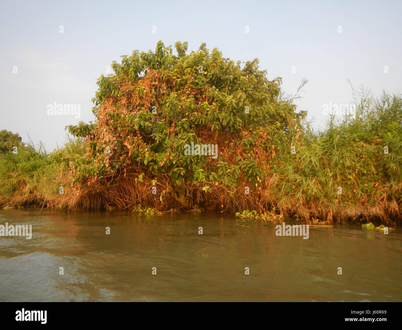 02596 Masantol Pampanga River Districts villages Riverbanks 20 Stock ...