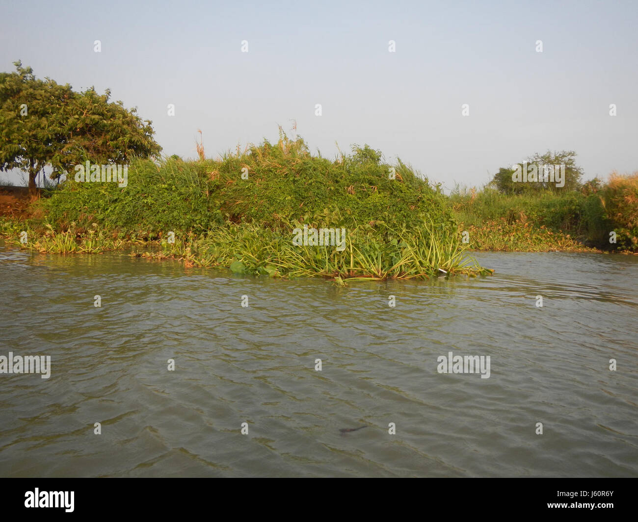 02596 Masantol Pampanga River Districts villages Riverbanks 36 Stock ...