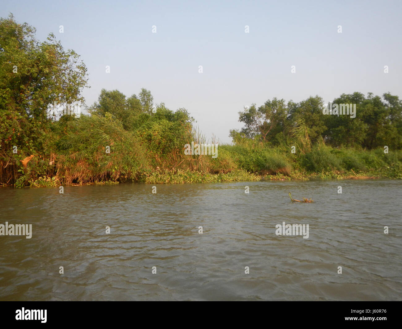 02596 Masantol Pampanga River Districts villages Riverbanks 42 Stock ...