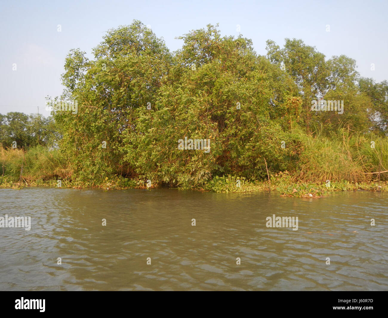 This map highlights the river districts, villages, and riverbanks of ...