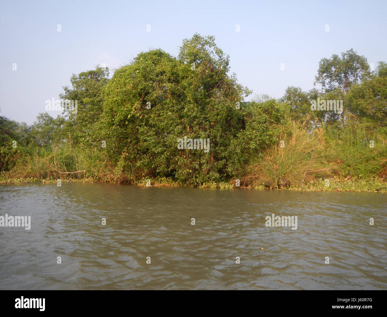02646 Masantol Pampanga River Districts villages Riverbanks 06 Stock ...