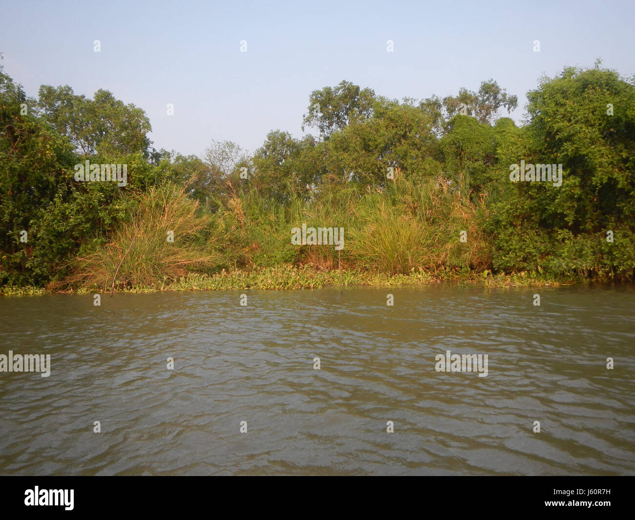 02646 Masantol Pampanga River Districts villages Riverbanks 07 Stock ...