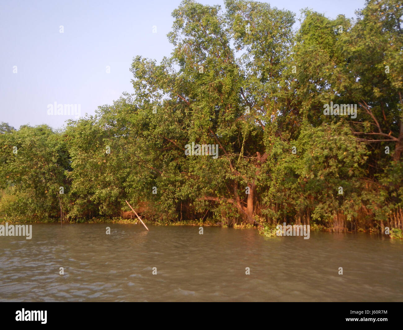 02646 Masantol Pampanga River Districts villages Riverbanks 10 Stock ...