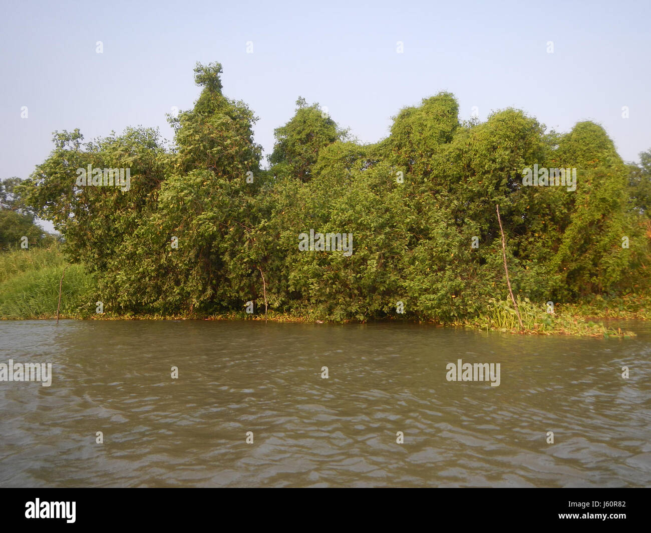 02646 Masantol Pampanga River Districts villages Riverbanks 35 Stock ...