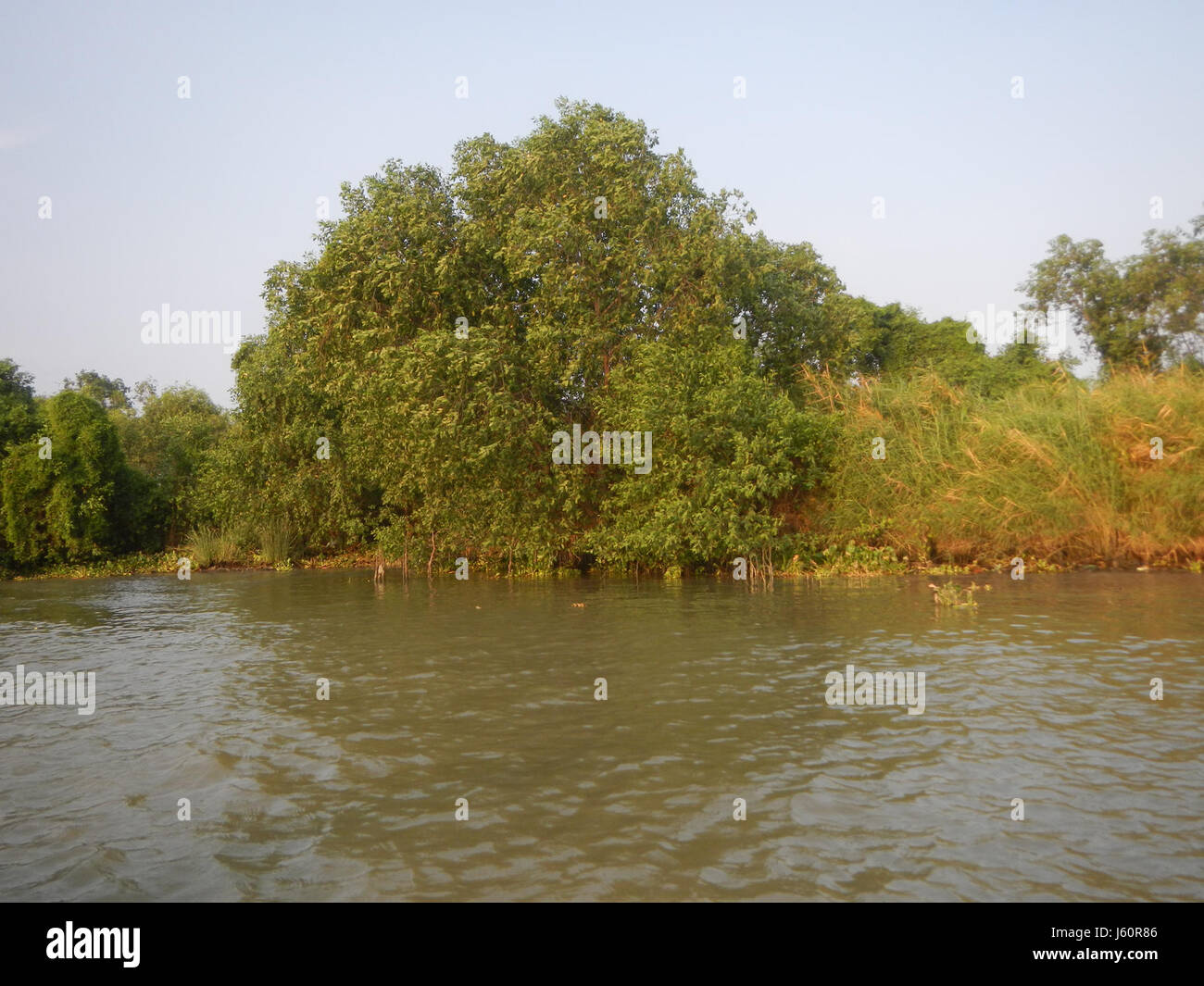 02646 Masantol Pampanga River Districts villages Riverbanks 19 Stock ...