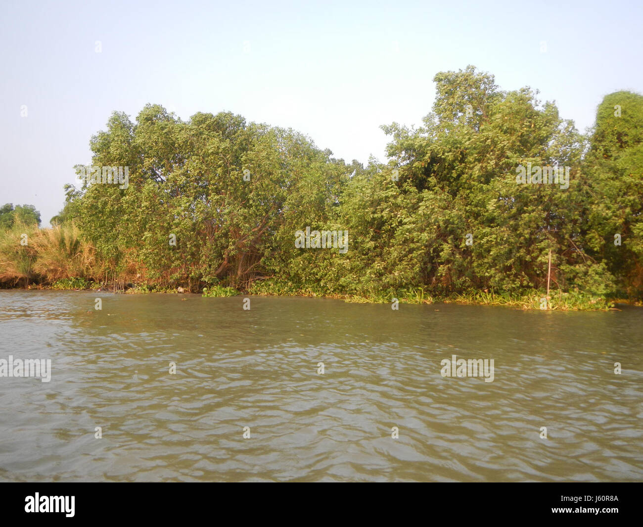 02646 Masantol Pampanga River Districts villages Riverbanks 22 Stock ...