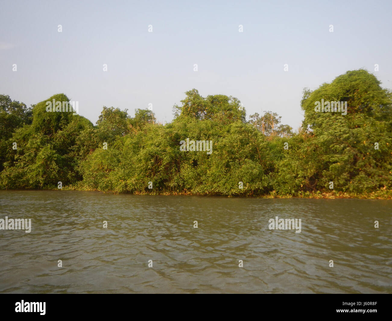 02646 Masantol Pampanga River Districts villages Riverbanks 27 Stock ...