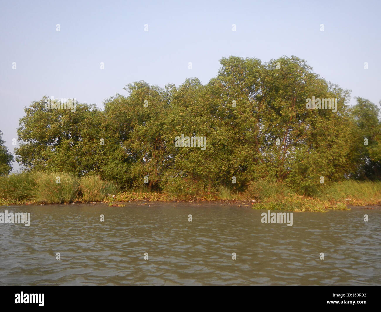 02646 Masantol Pampanga River Districts villages Riverbanks 42 Stock ...