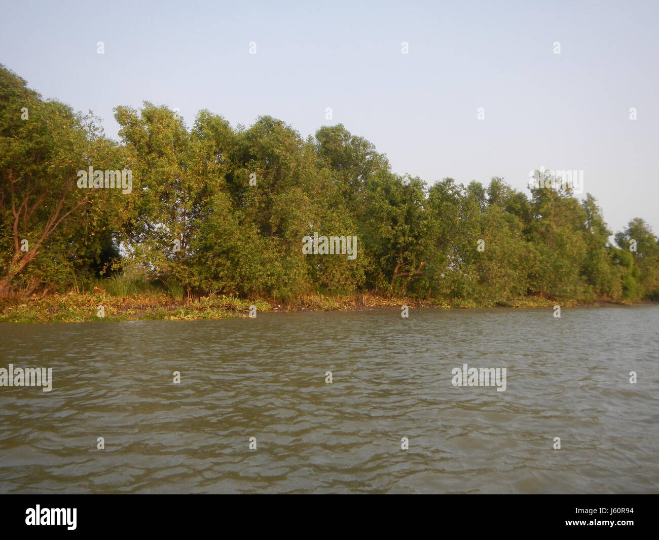 02646 Masantol Pampanga River Districts villages Riverbanks 44 Stock ...