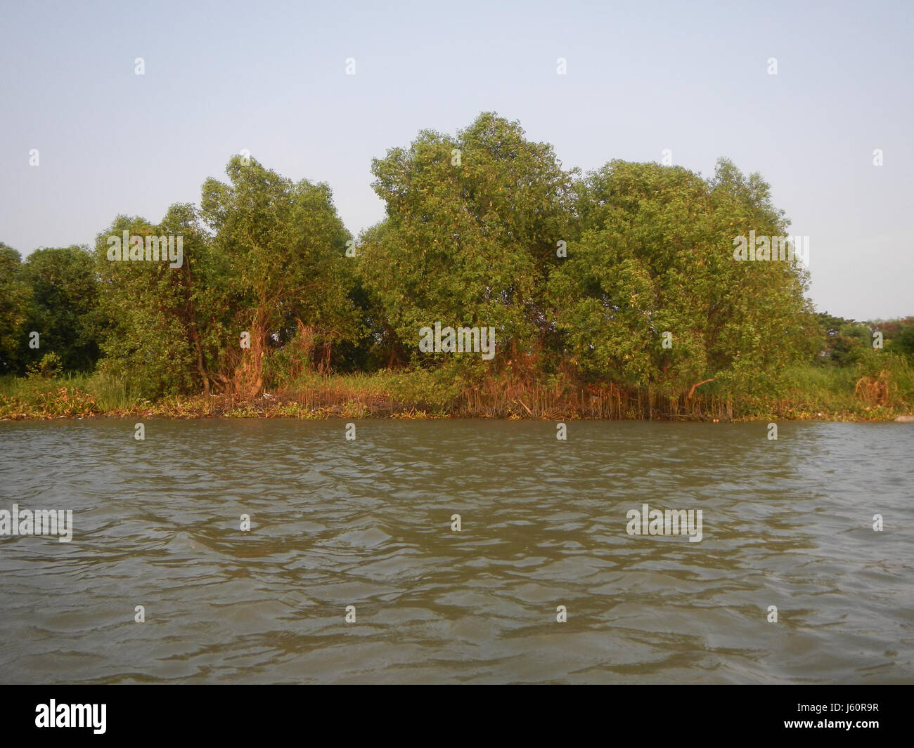 This image captures the river districts and villages along the ...