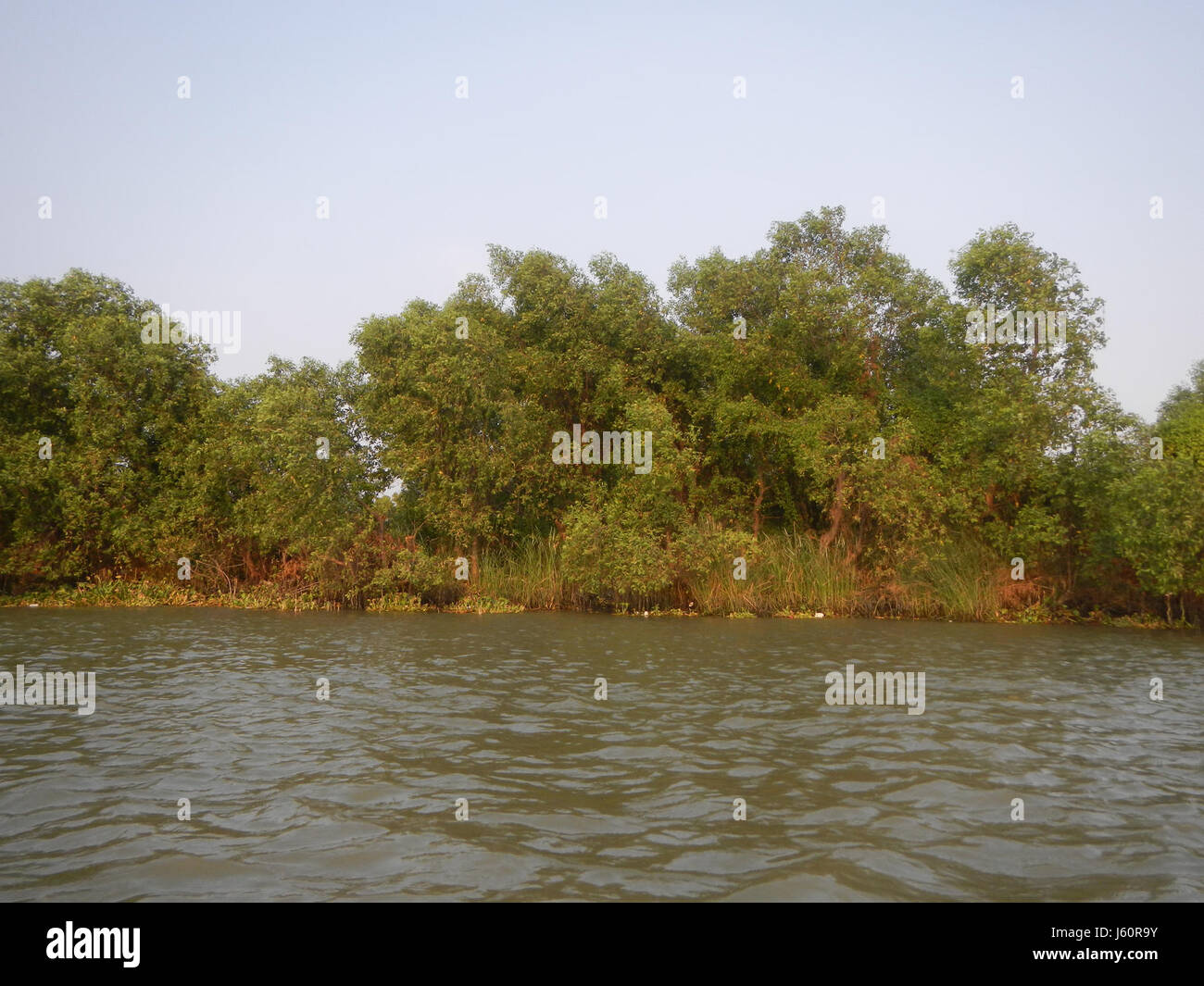 02698 Masantol Pampanga River Districts villages Riverbanks 18 Stock ...