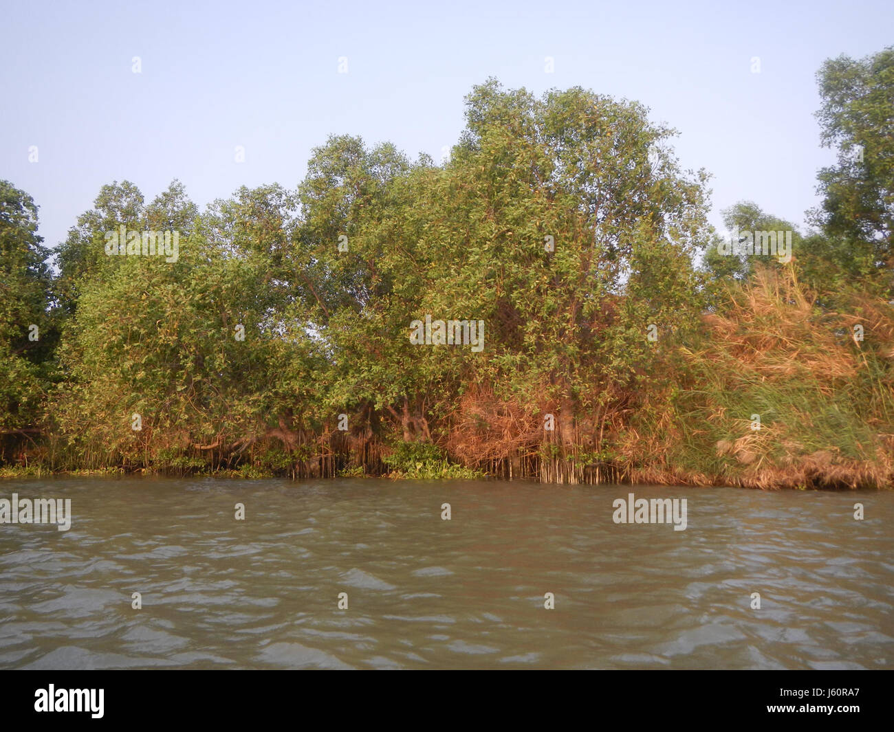 Photograph or map of the river districts and villages along the ...