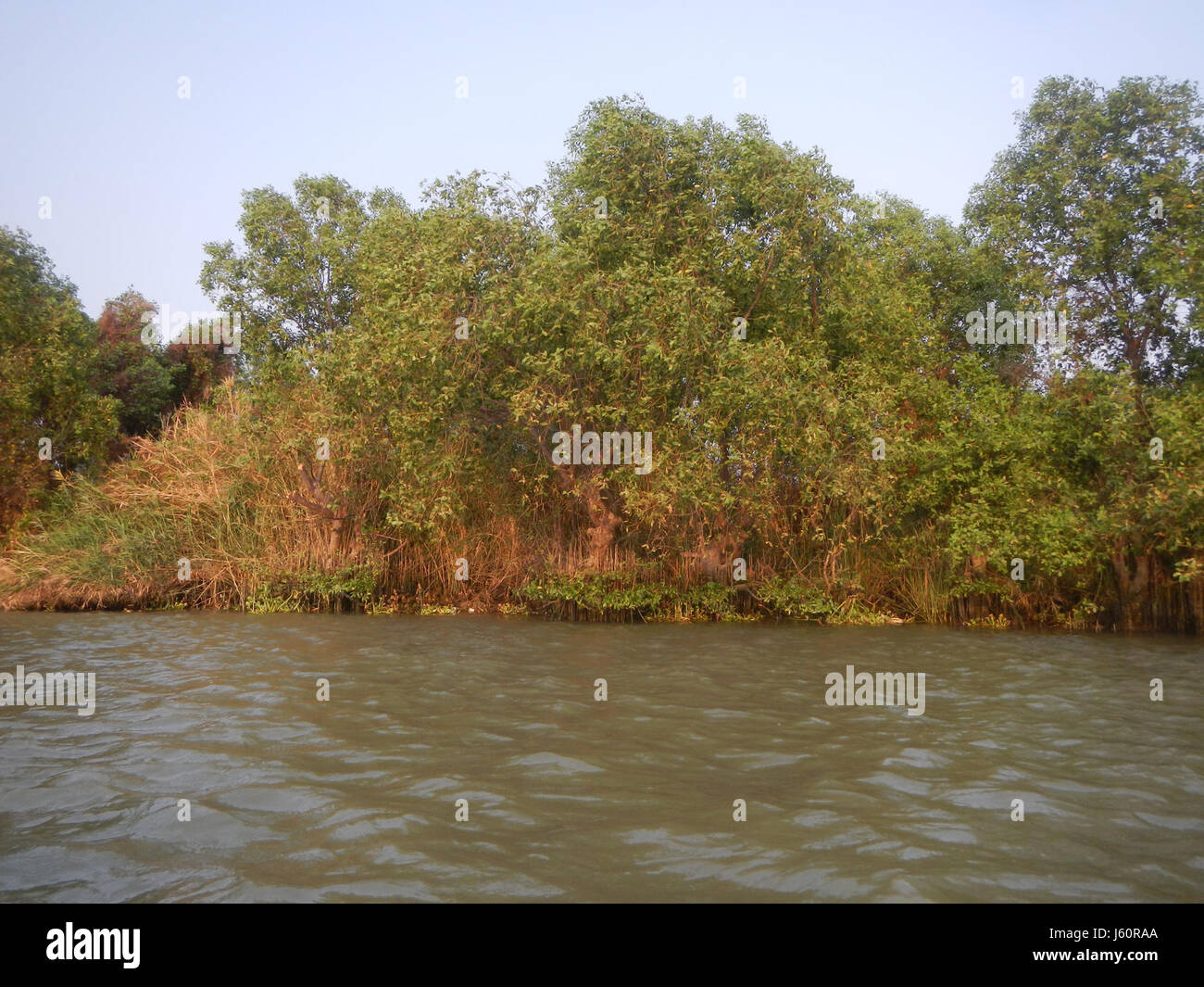 02698 Masantol Pampanga River Districts villages Riverbanks 24 Stock ...